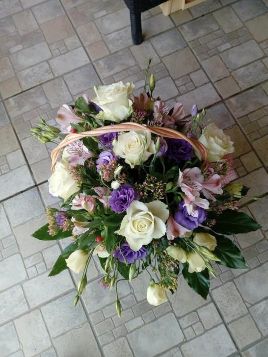 Cvećara Mini Orhideja - Beograd - Poslovni Imenik Srbije