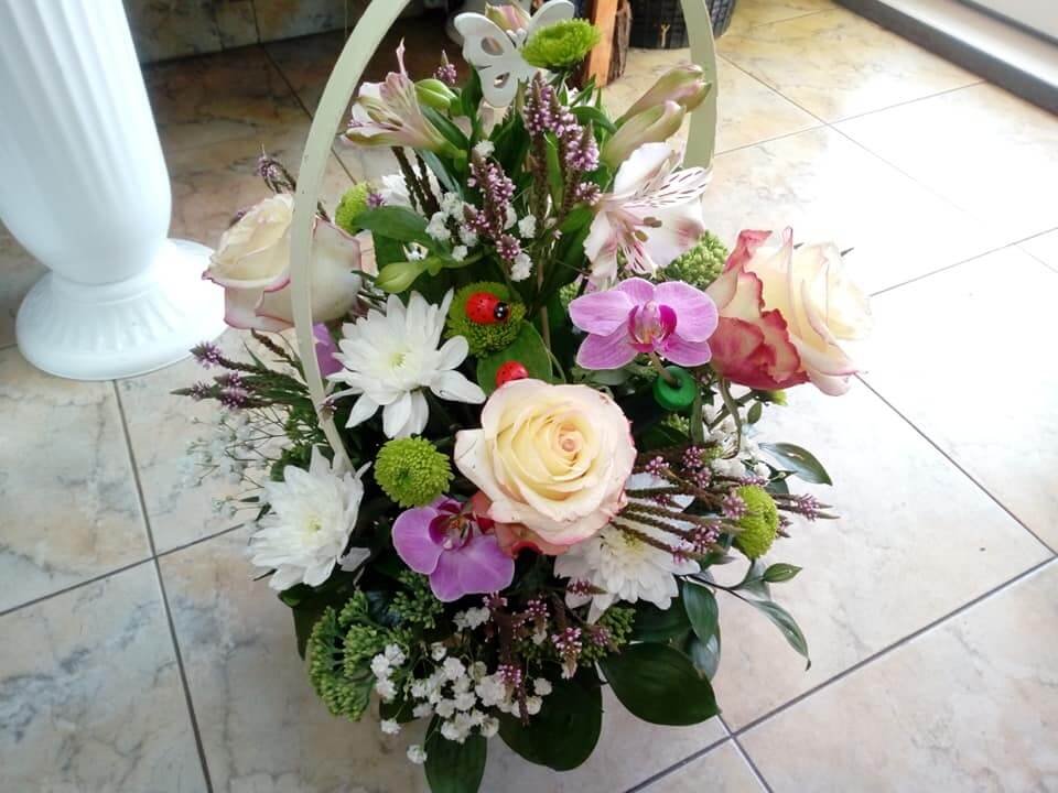 Cvećara Mini Orhideja - Beograd - Poslovni Imenik Srbije